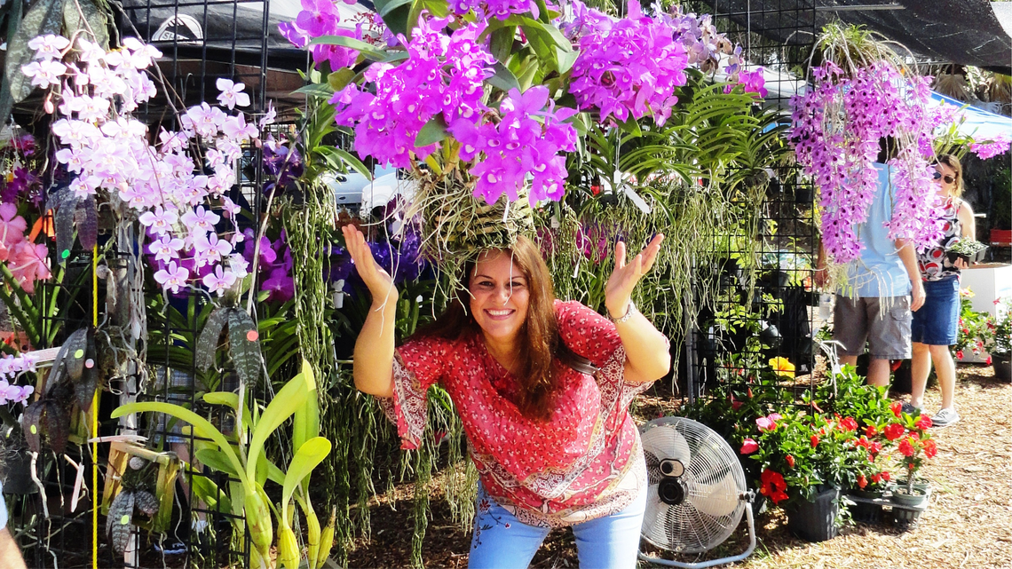 Sawgrass Nature Center to host Coral Springs Orchidfest | Coral Springs ...